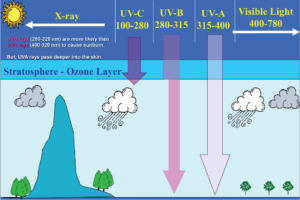 What Are The Ultraviolet Rays? Beneficial And Harmful Effects Of UV ...