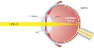 Normal Growth and Human Eye Development - Eye Health Nepal